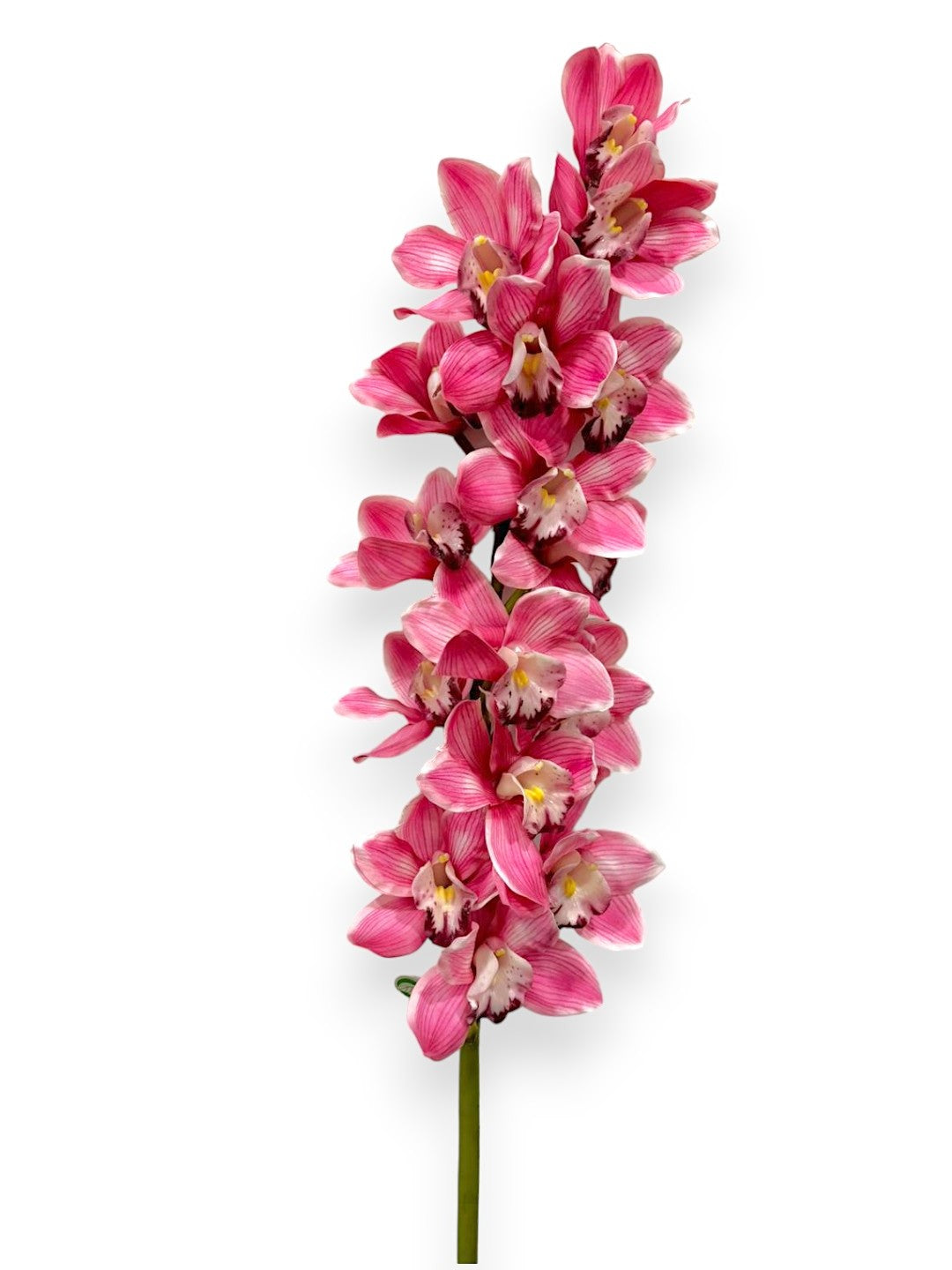 ORCHID CYMB.X16F – Chan's Silk Flowers, inc