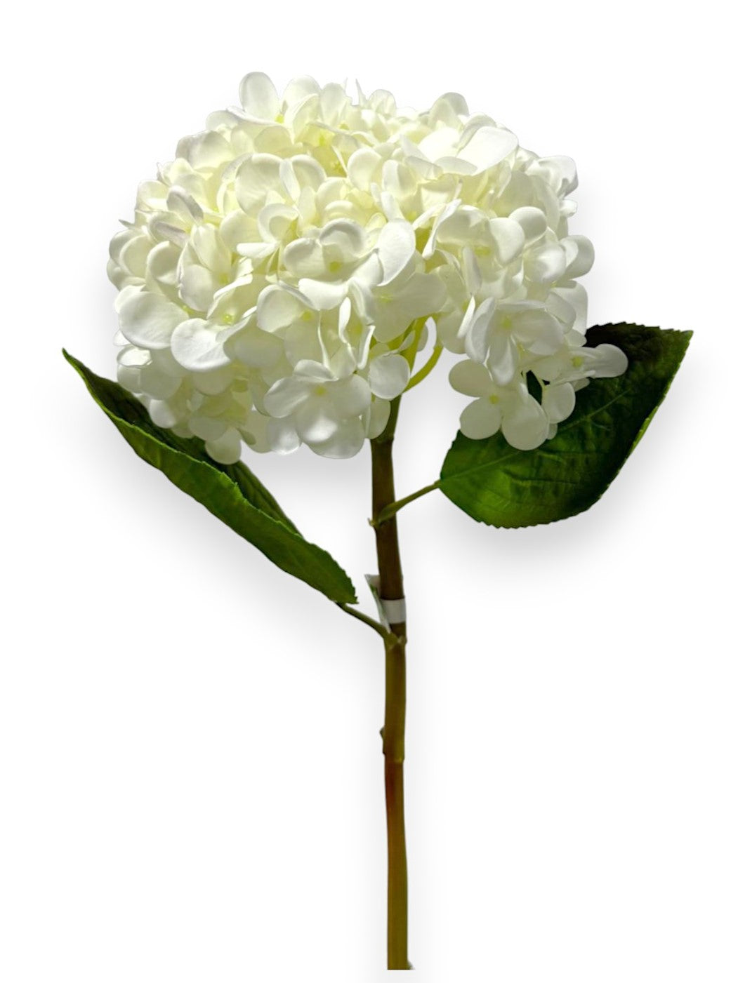 HYDRANGEA STEM ROUND L – Chan's Silk Flowers, inc