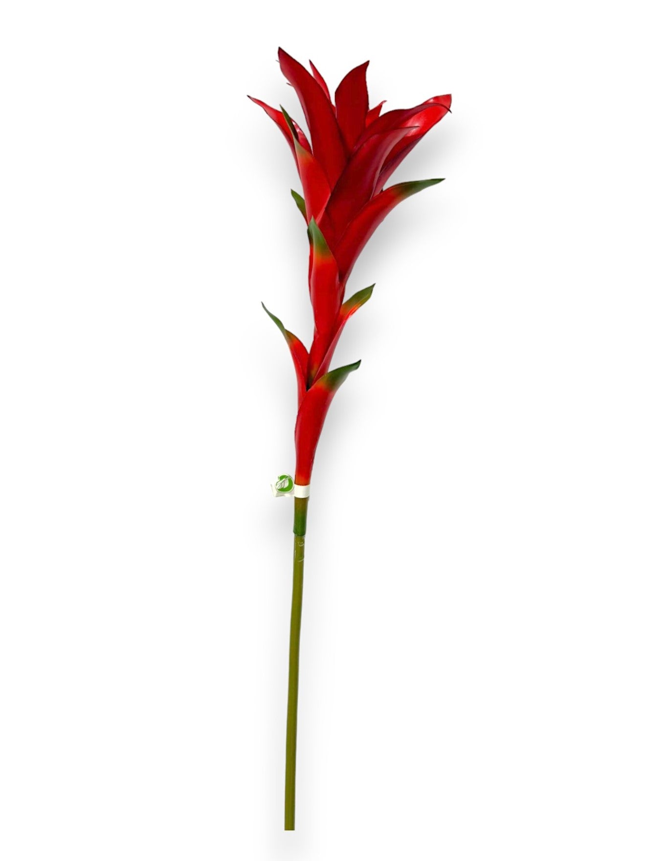 BROMELIAD SCARLET STAR BLOOM – Chan's Silk Flowers, inc