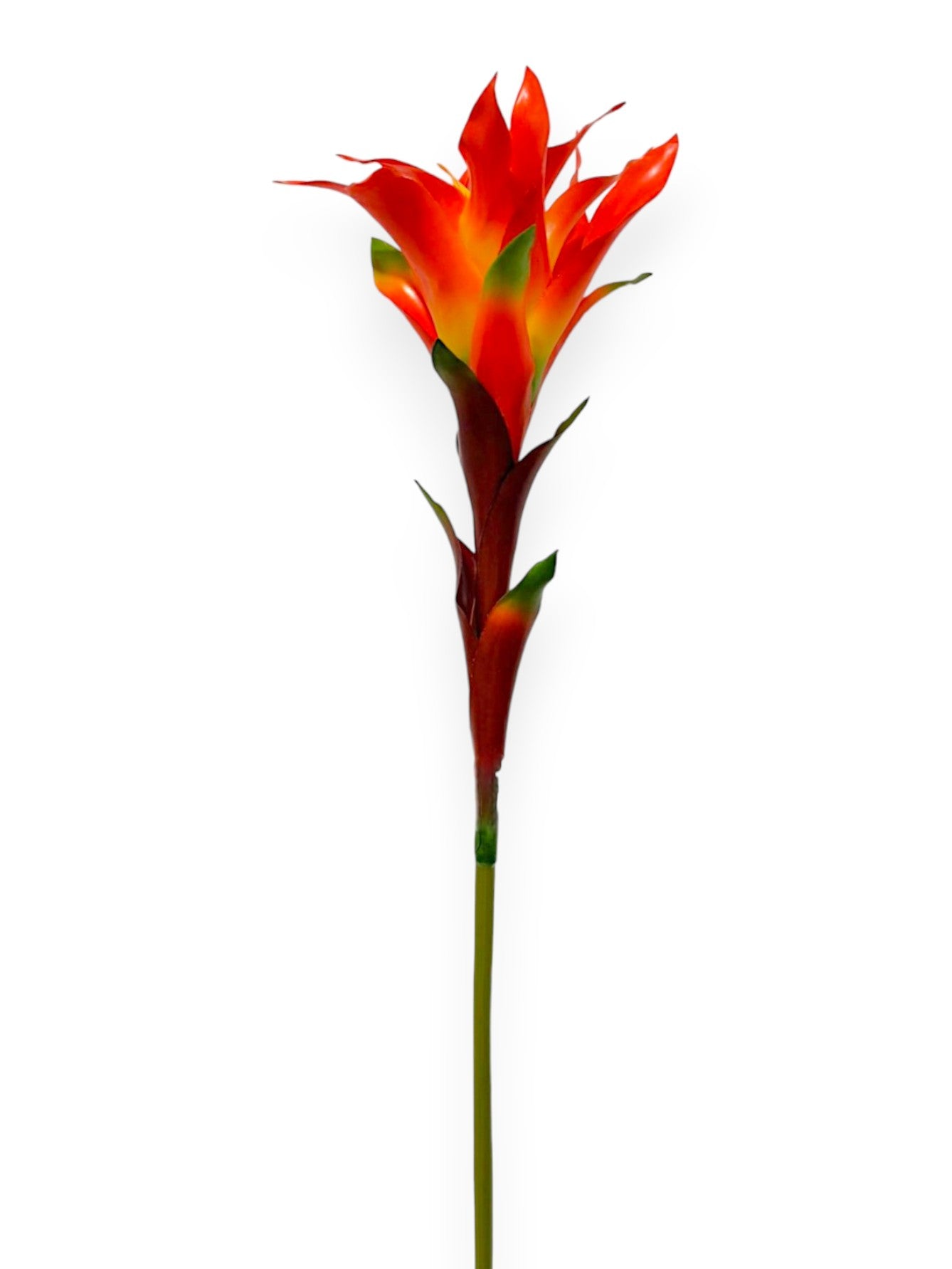 Bromelia Scarlet Star Bloom 34" – Chan's Silk Flowers, inc