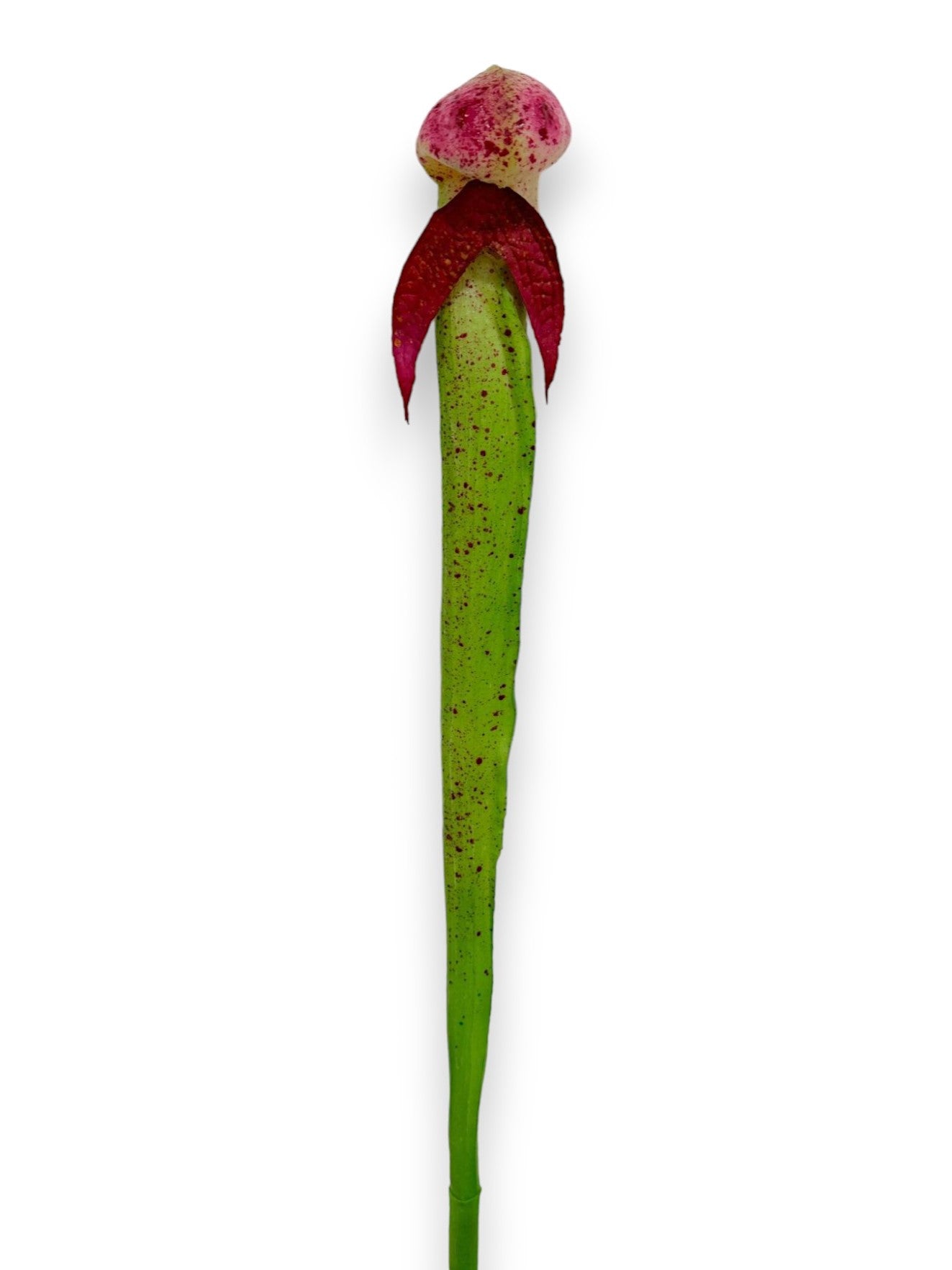 PITCHER PLANT – Chan's Silk Flowers, inc