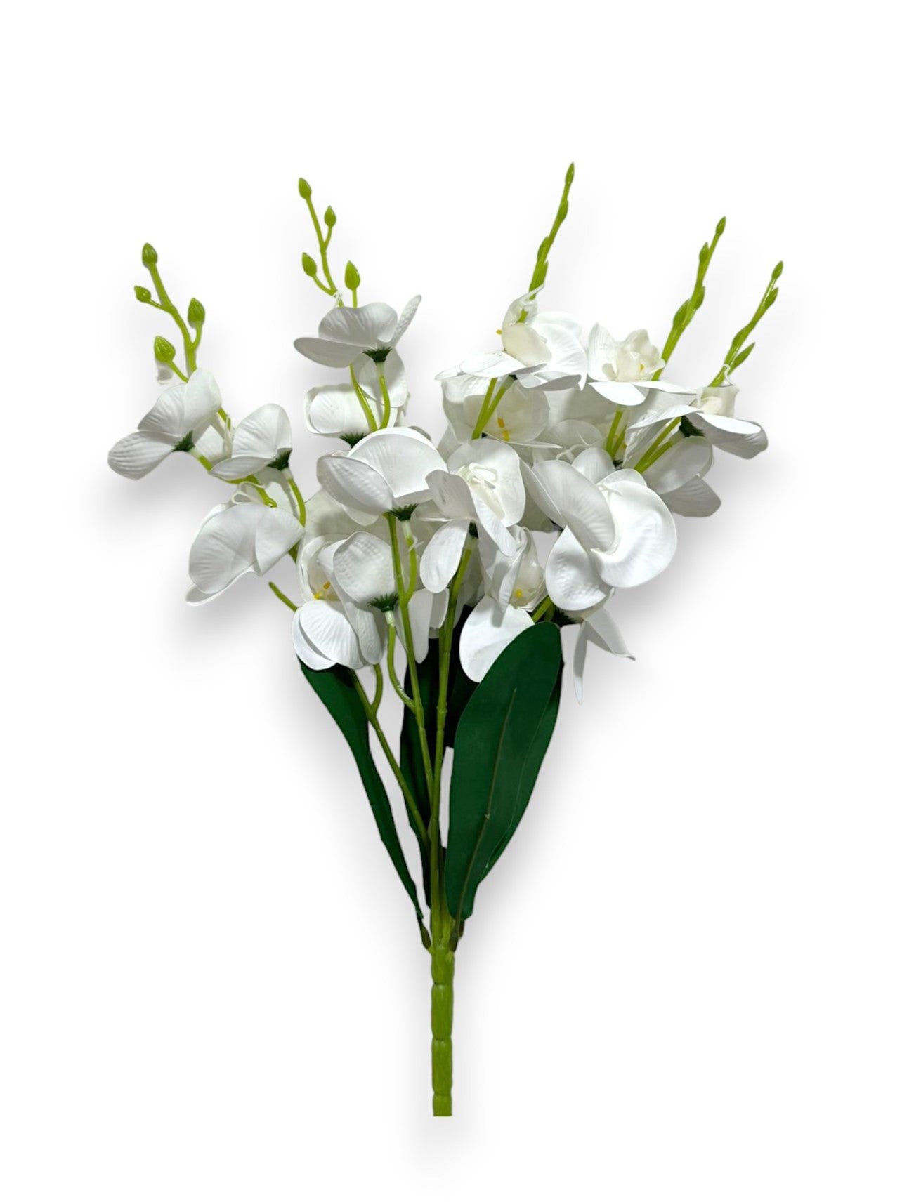 Chan's Silk Flowers, inc – Chan's Silk Flowers, inc