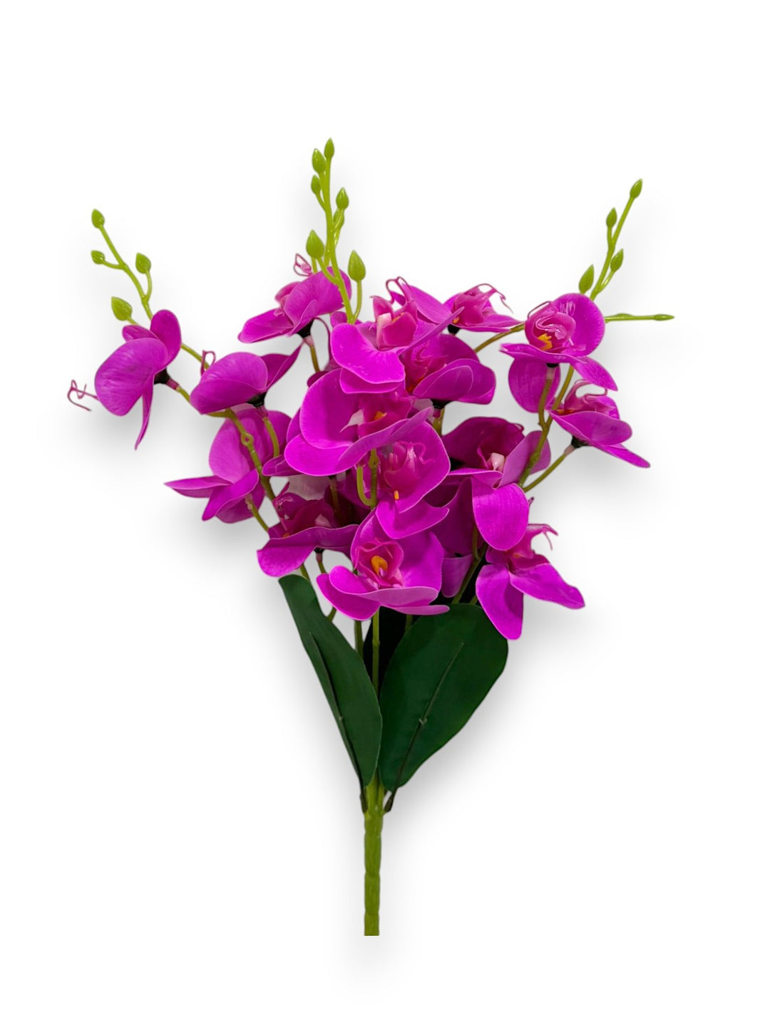 Chan's Silk Flowers, inc – Chan's Silk Flowers, inc