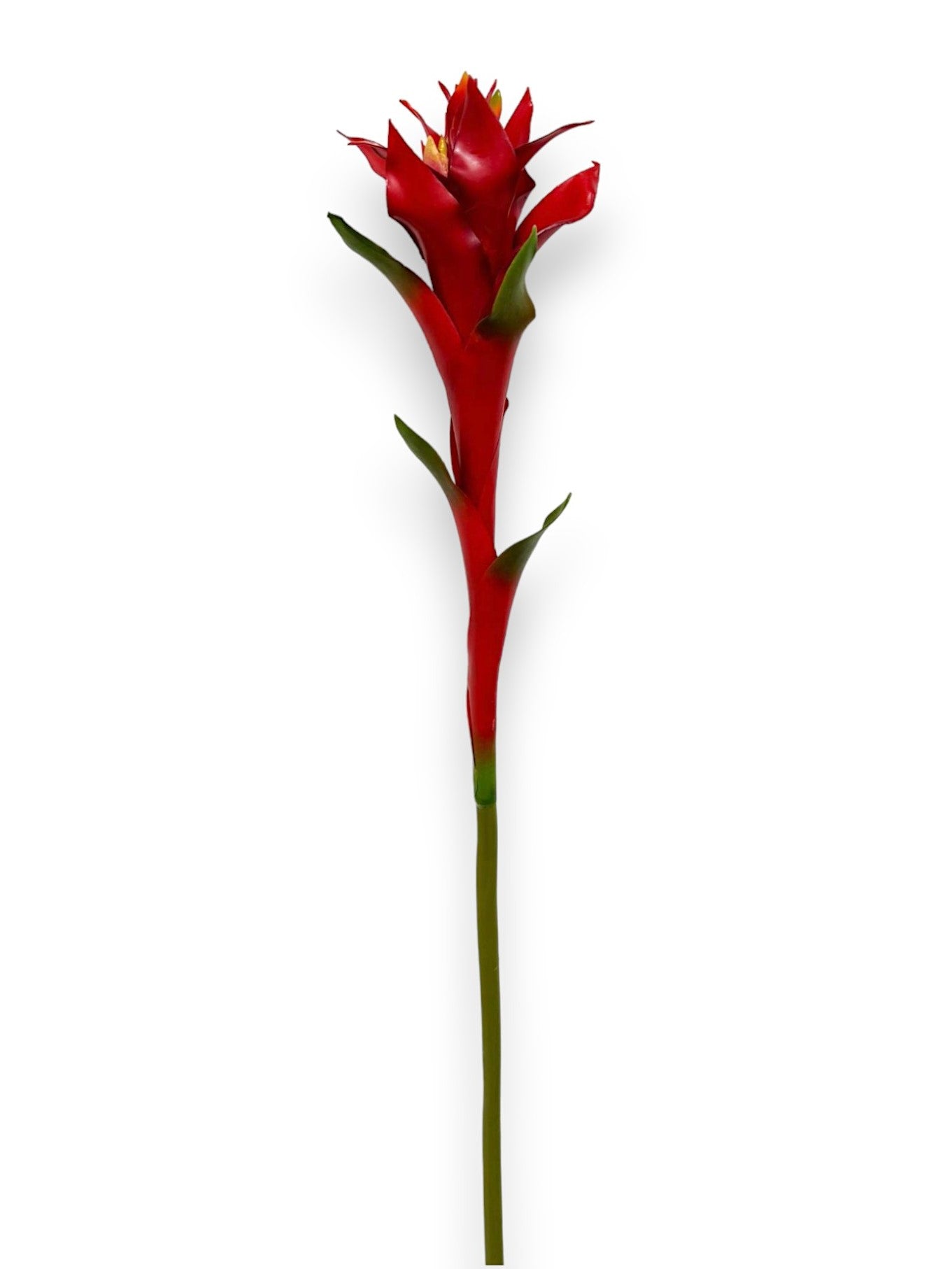 BROMELIA SCARLET STAR BLOOM – Chan's Silk Flowers, inc