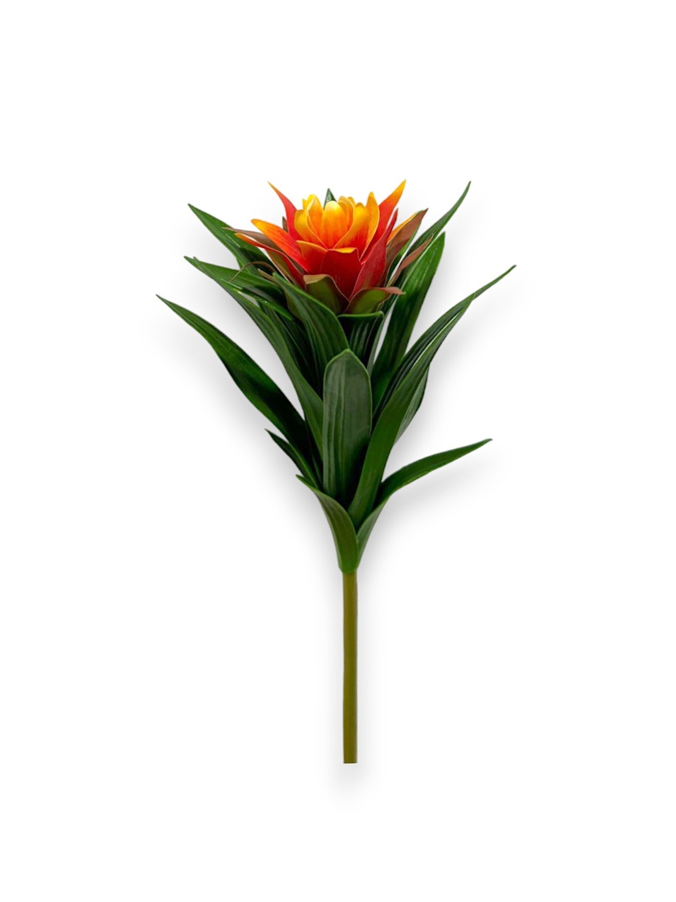 MINI BROMELIA SCARLET STAR PLANT – Chan's Silk Flowers, inc