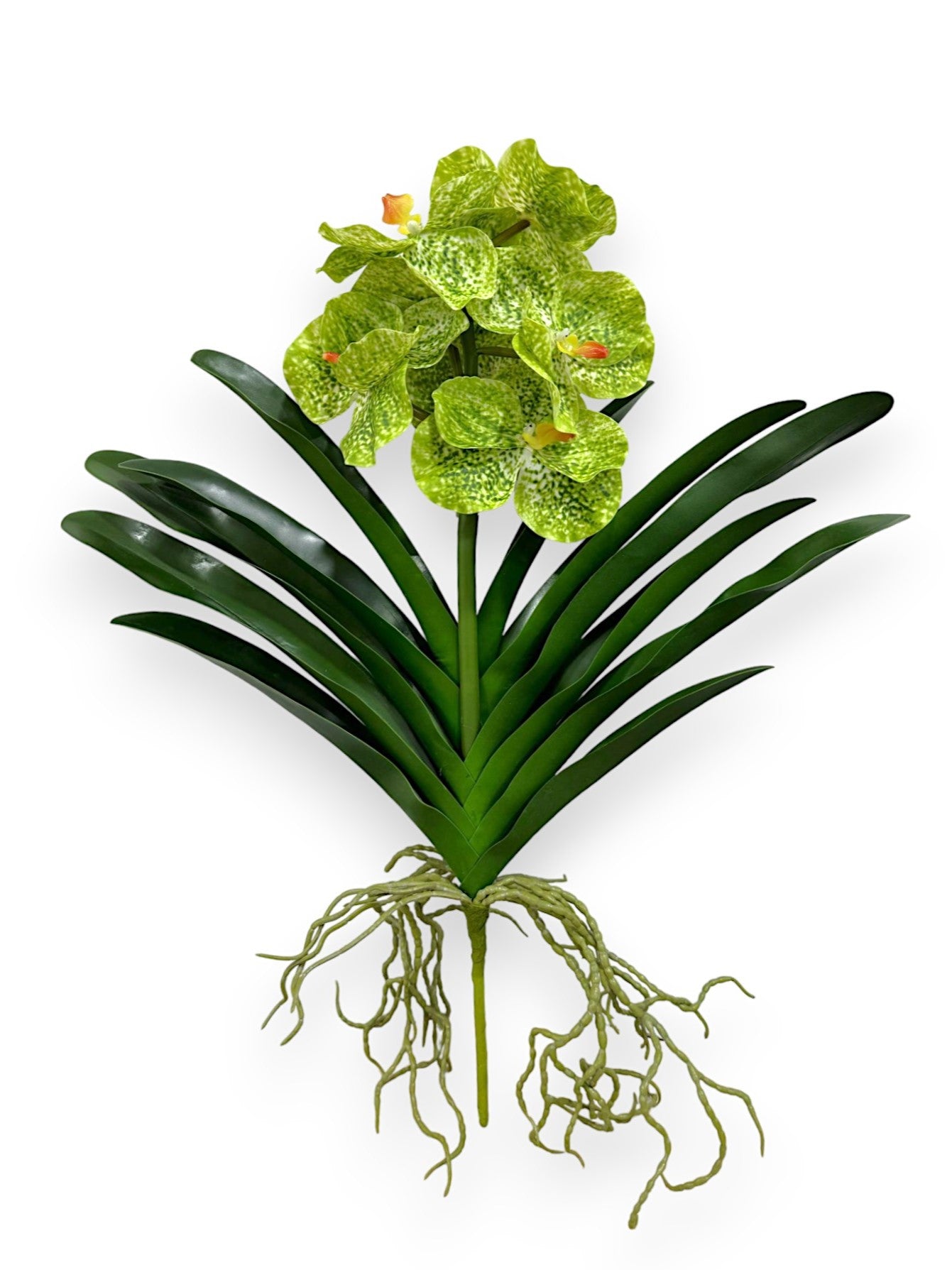 ORCHID VANDA W/LVS 21" – Chan's Silk Flowers, inc