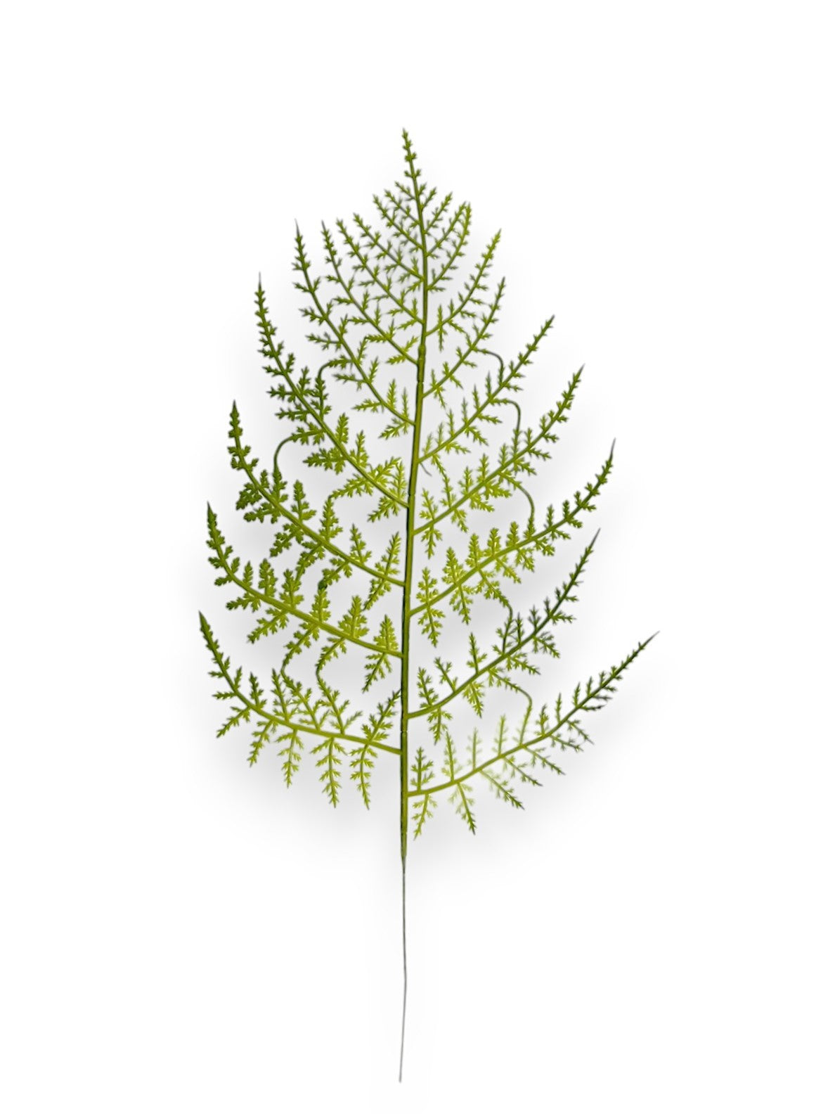 FERN STEM BUNCH X12 – Chan's Silk Flowers, inc