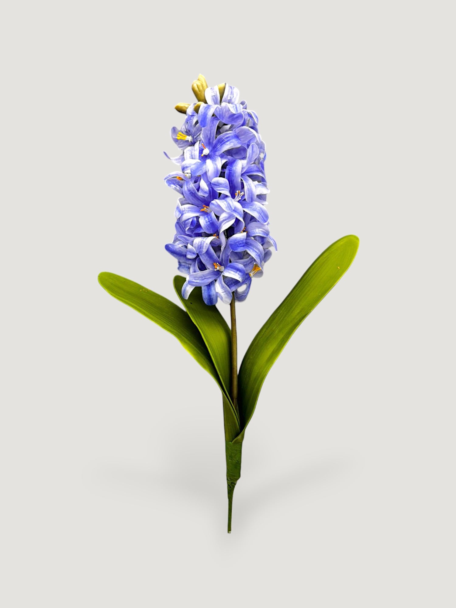 HYACINTH PLANT 14" – Chan's Silk Flowers, inc
