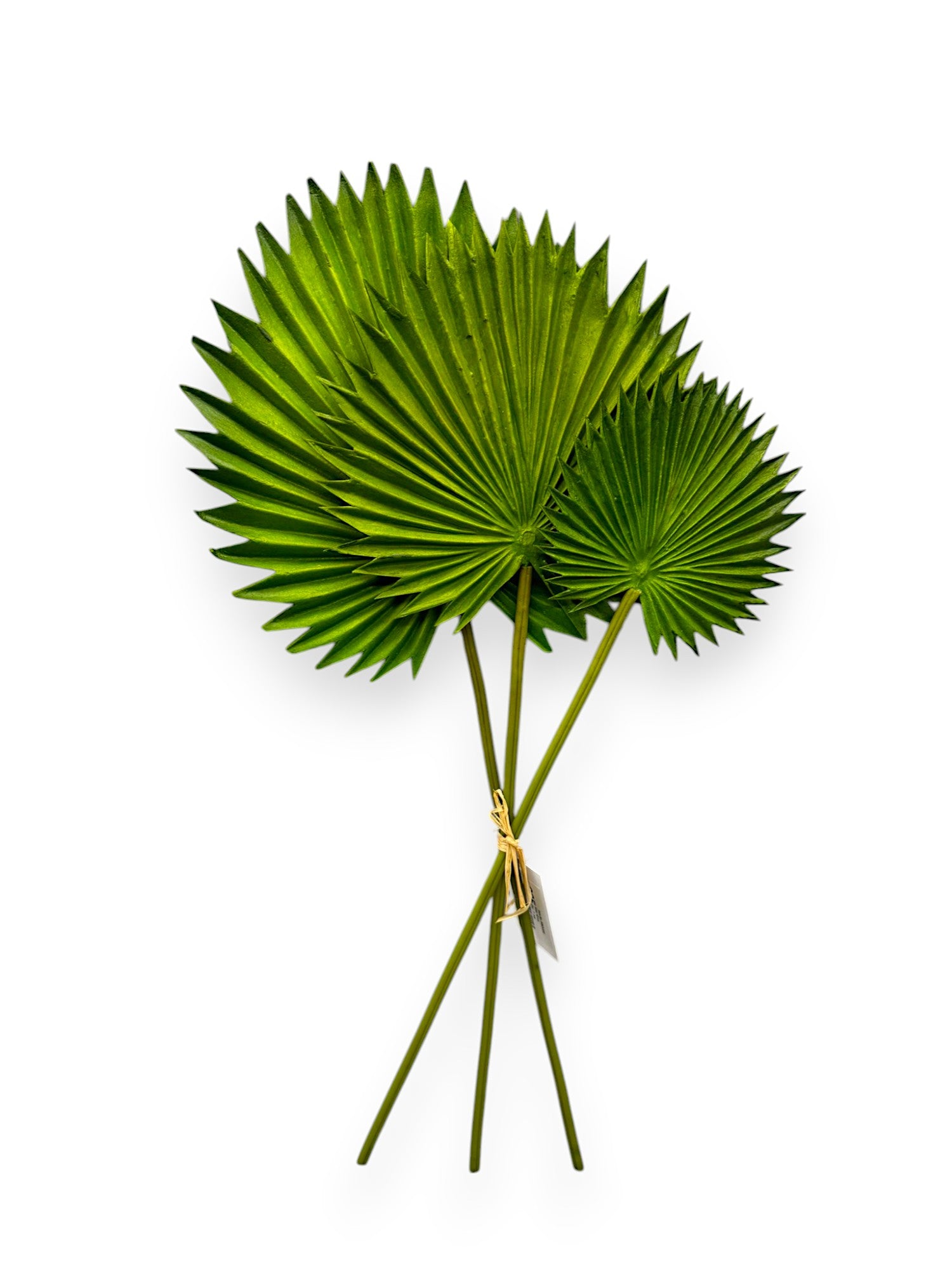 PALM LEAF BUNDLE X3 SMALL – Chan's Silk Flowers, inc