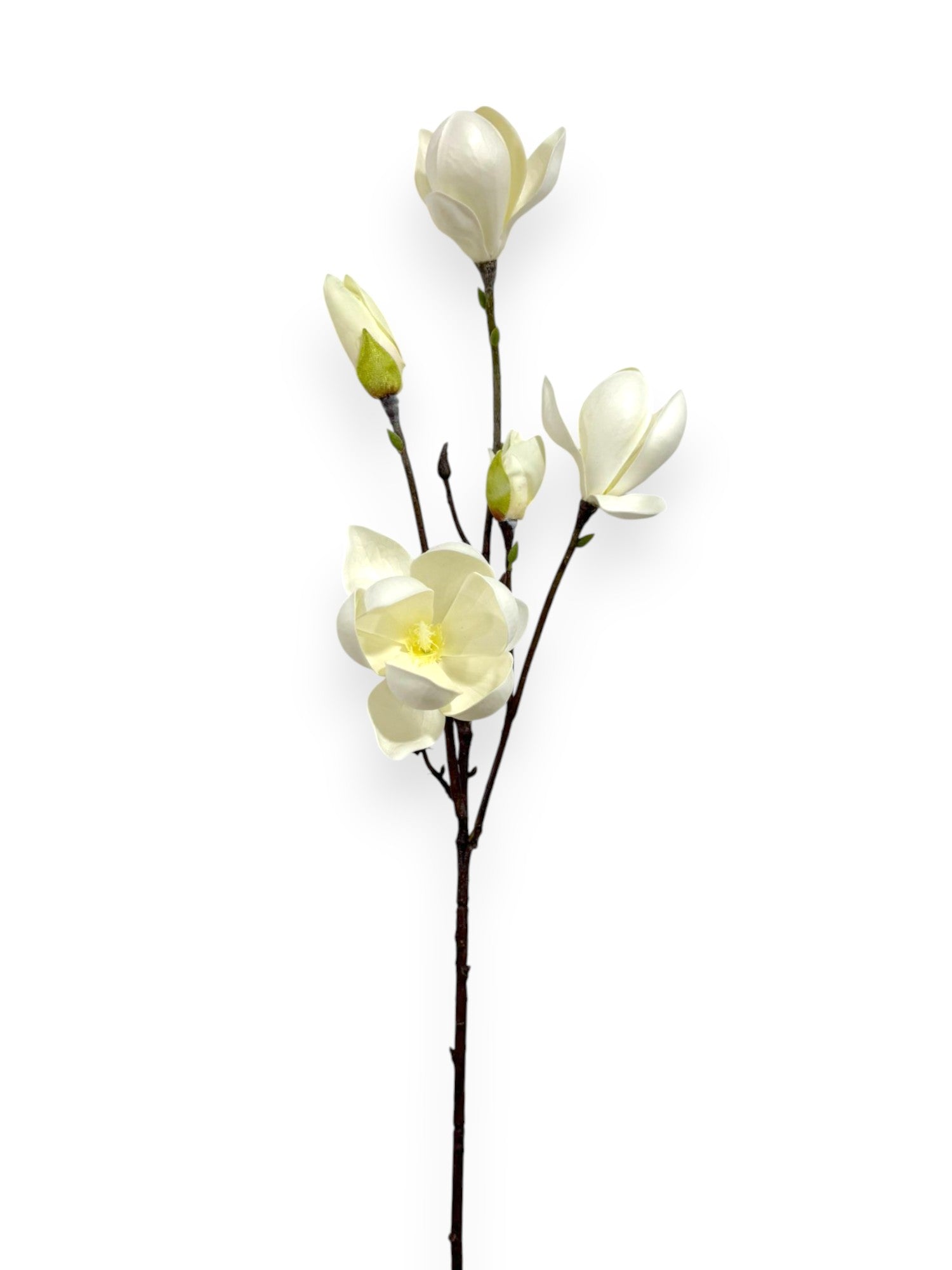 MAGNOLIA TREE SPR 28.5" – Chan's Silk Flowers, inc