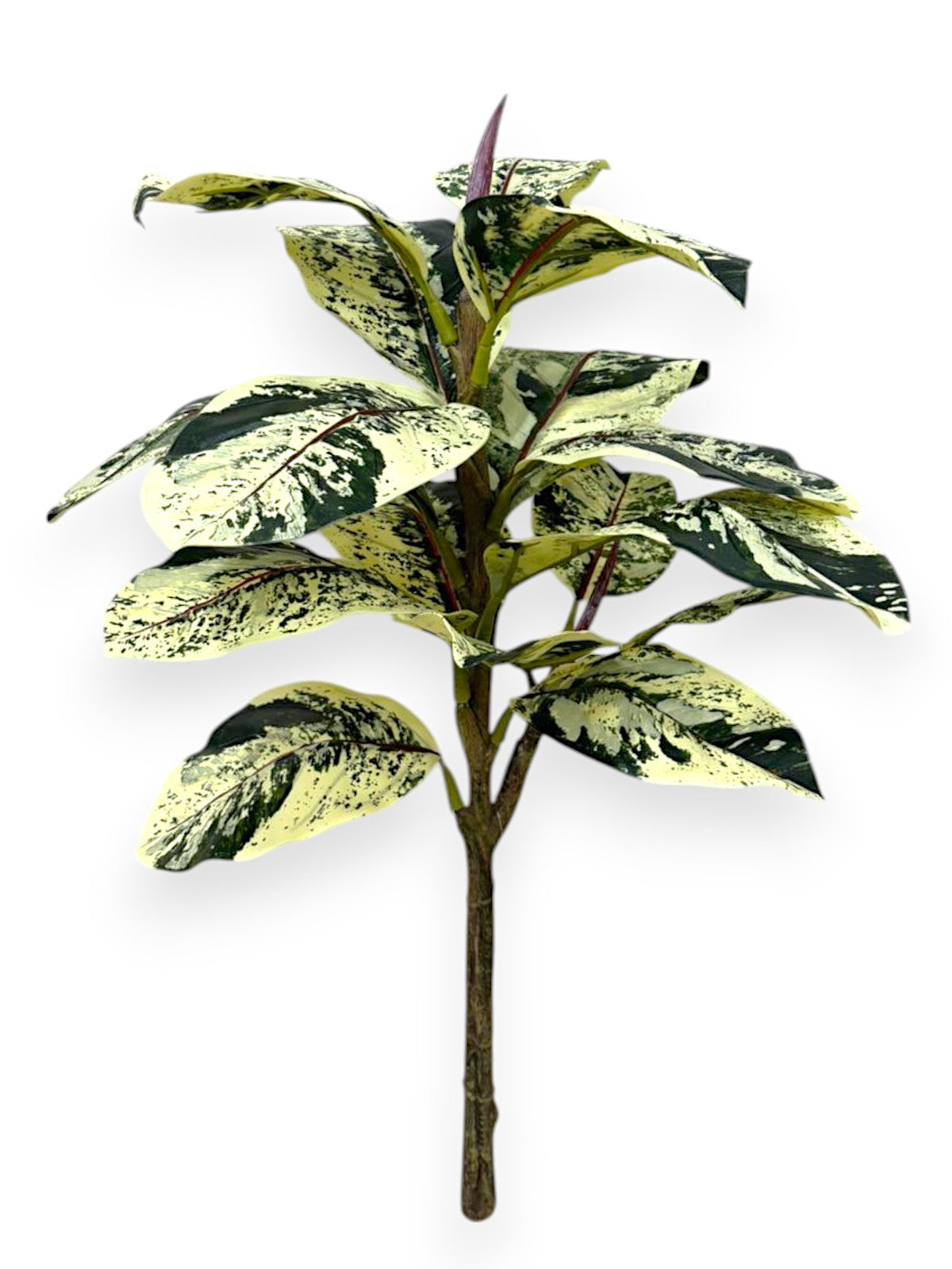 FICUS SPRAY 31" UV – Chan's Silk Flowers, inc
